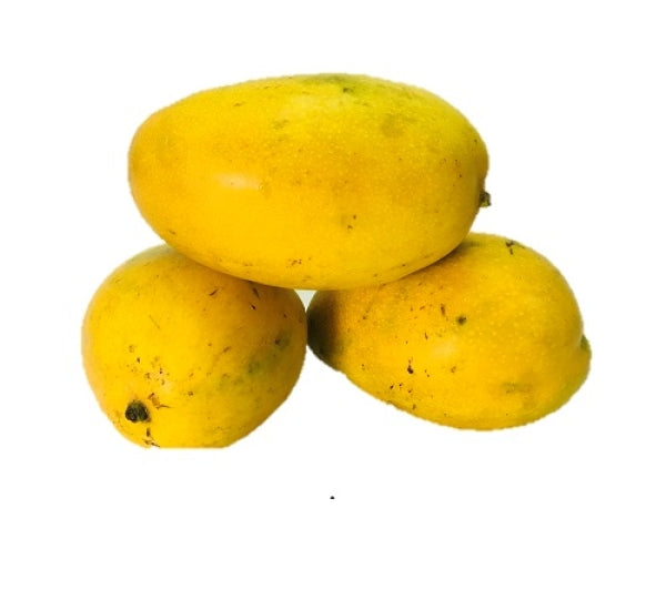 Mango - Himayat / Imam Pasand - Fruit Plant – Bare-Root Blooms